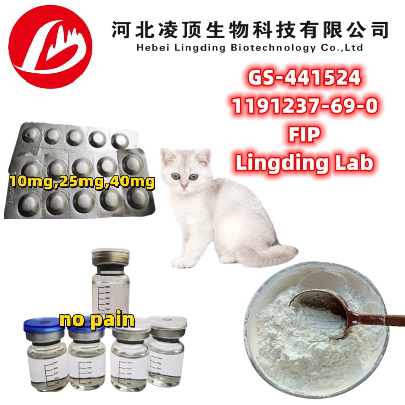 GS441524 tablets/powder/injection 1191237-69-0 for FIP